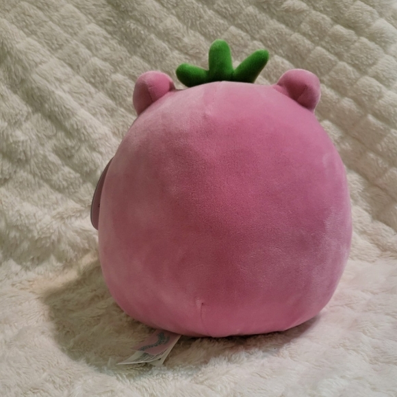 Squishmallows | Other | Adabelle The Strawberry Frog Squishmallow 8 Box ...